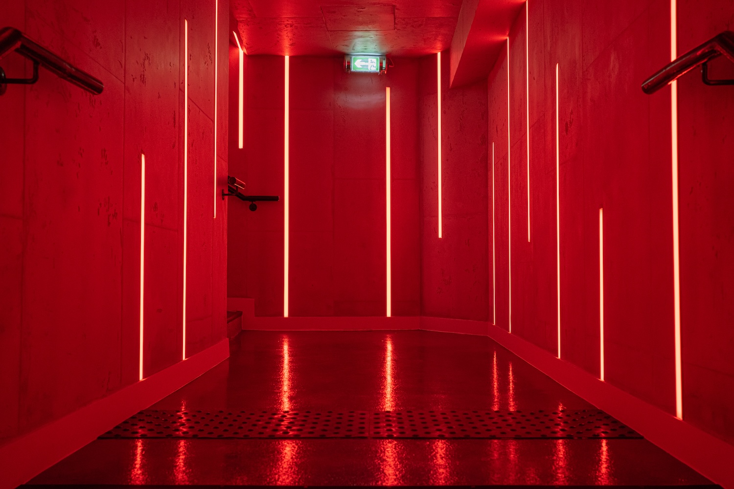 REX - Studio Gazelles